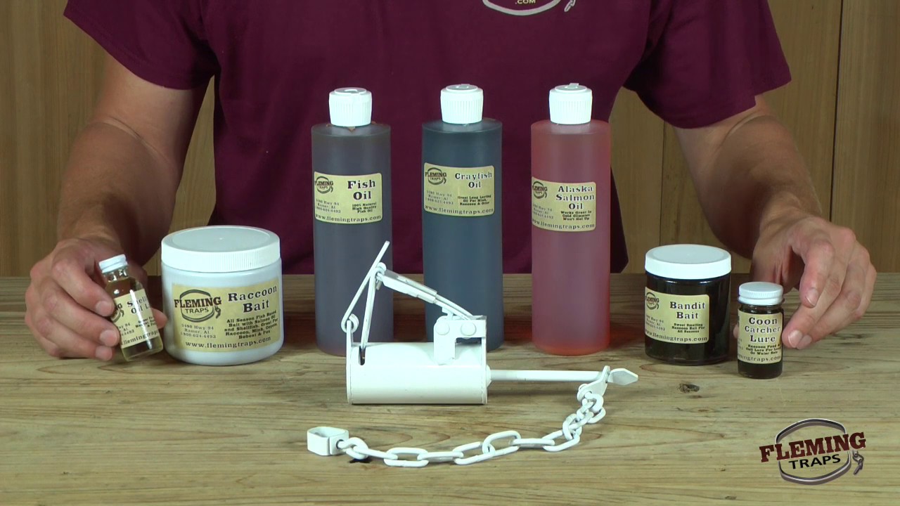 Fleming Dog Proof Raccoon Trap - White - YouTube