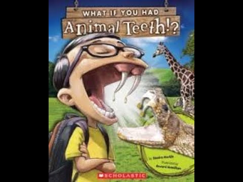 What If You Had Animal Teeth by Sandra Markle - YouTube