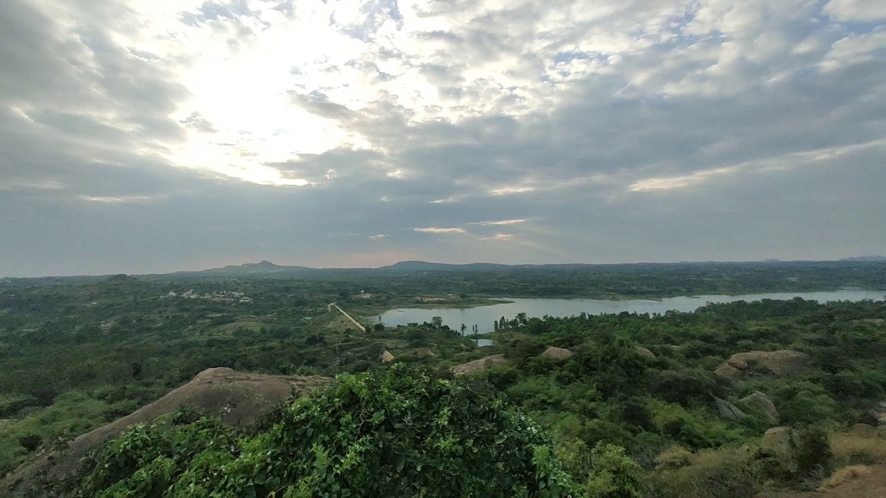 Karnataka state forest 🌳 amazing view - YouTube