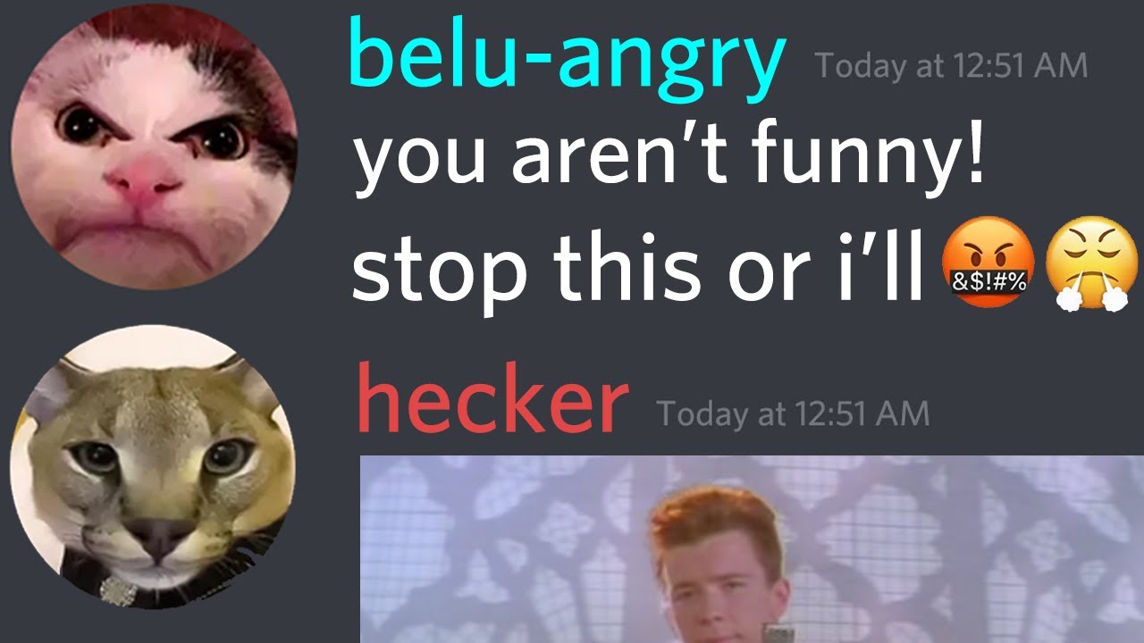 If Beluga Gets Angry... - YouTube