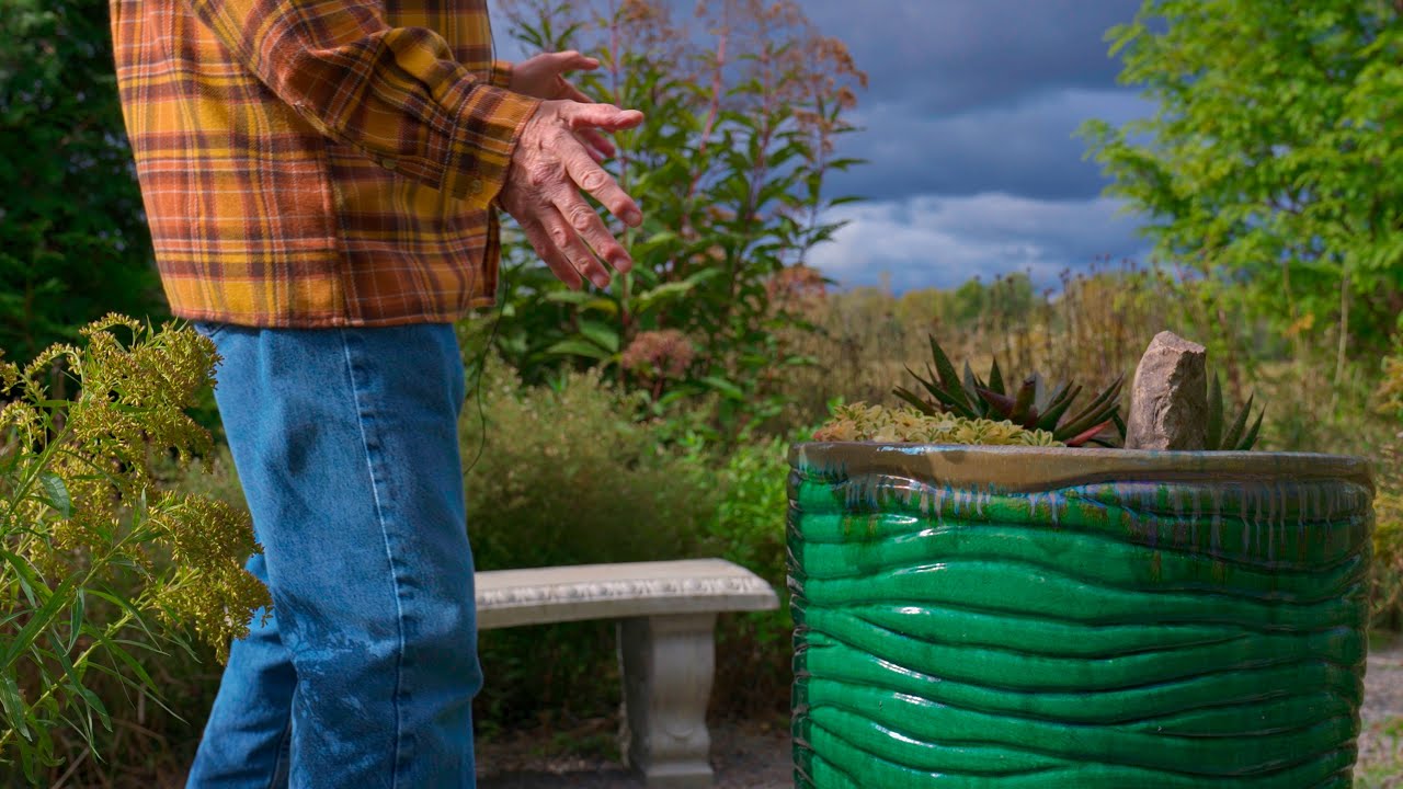 His secret garden with a rewilding backyard - YouTube