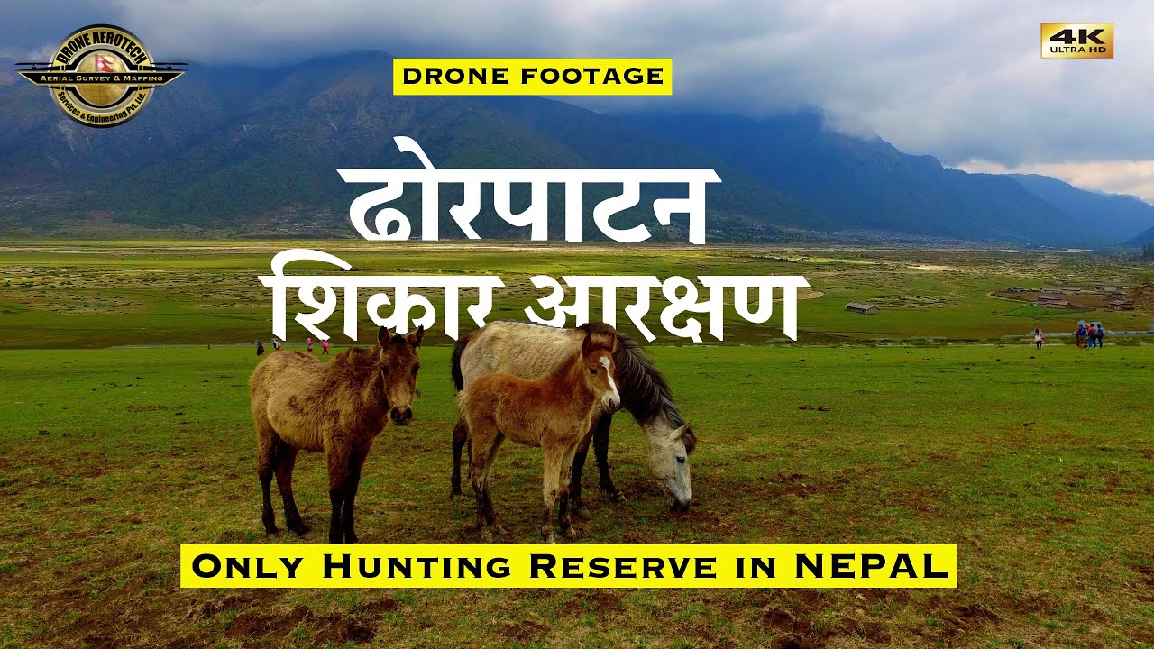 DHORPATAN HUNTING RESERVE | ढोरपाटन शिकार आरक्षण | Visit Nepal 2020 ...