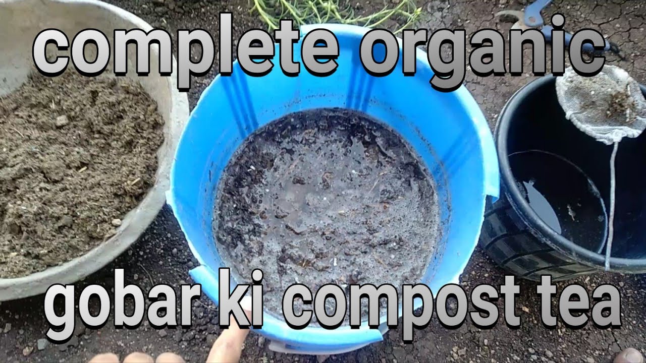 Complete organic gobar kicompost tea to plant booster - YouTube