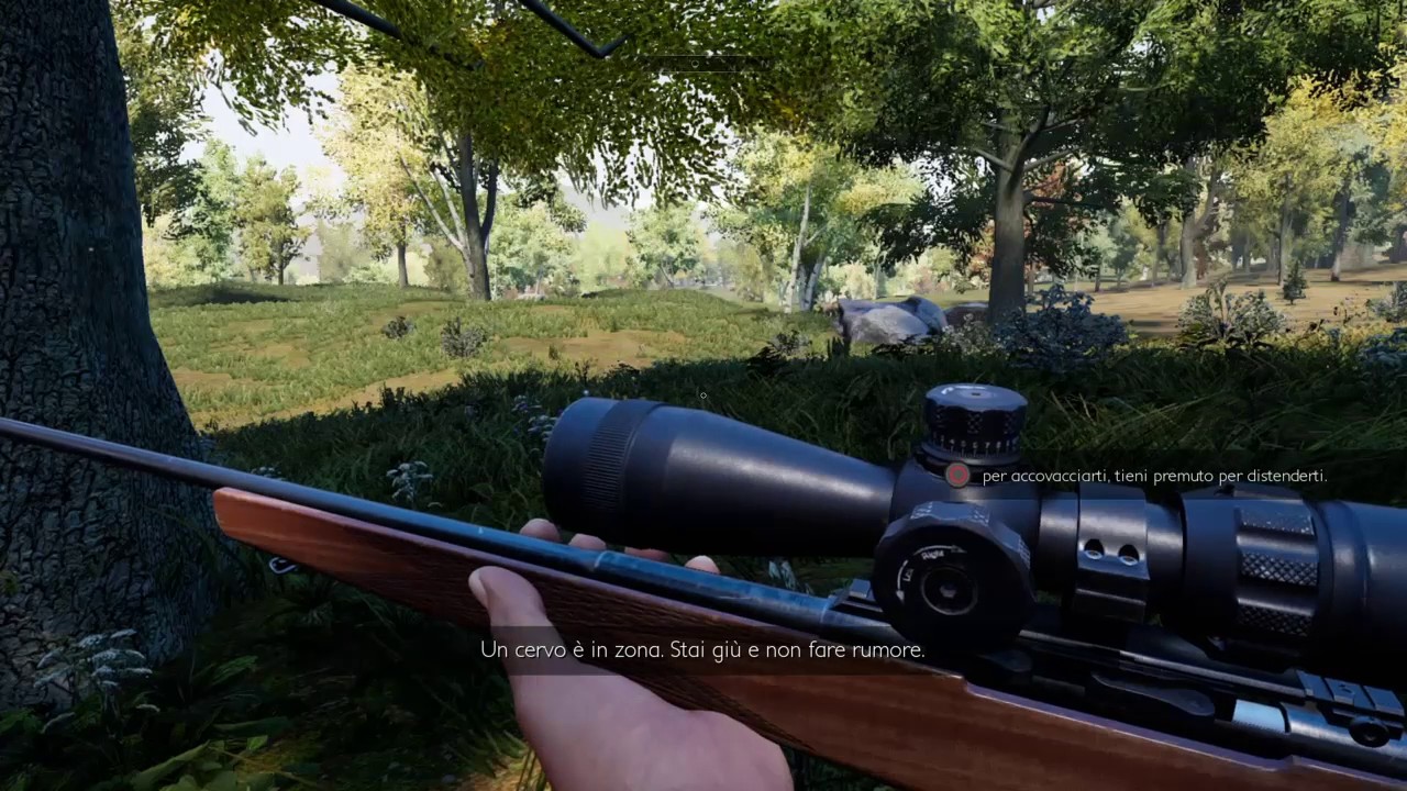 Hunting Simulator FIRST gameplay demo - YouTube