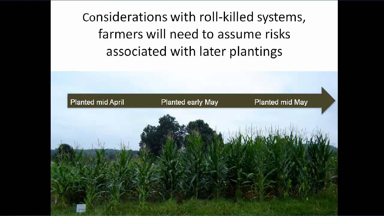 Increasing Soil Fertility and Health Through Cover Crops - YouTube