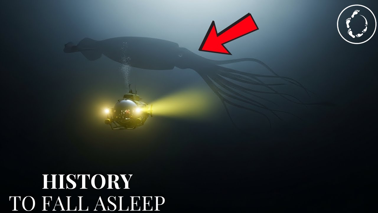 Mysterious Ocean Sounds and Deep Sea Phenomena to Fall Asleep To - YouTube