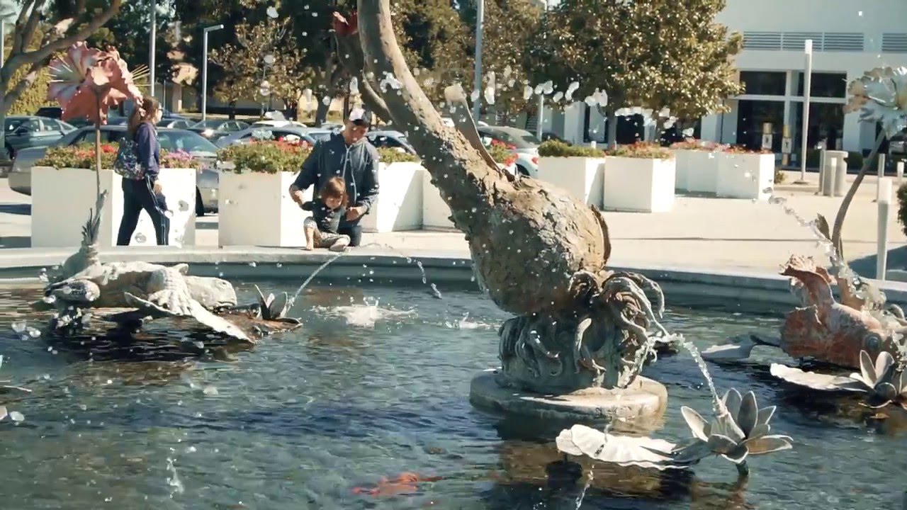 Cerritos Library 4K Footage - YouTube