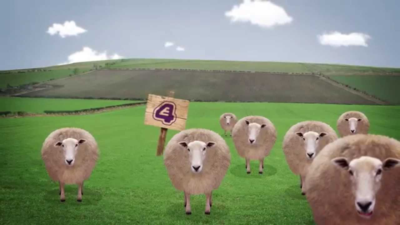 "Sheep sucking" #EStings2015 - YouTube