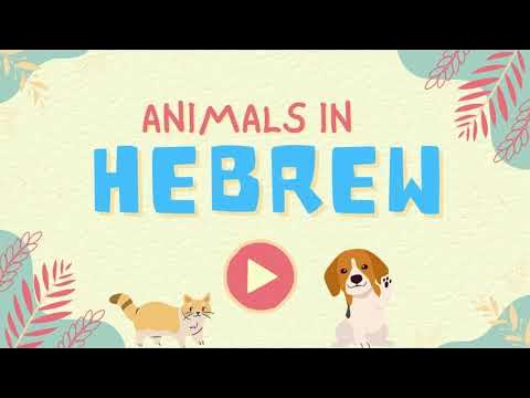 Animals in Hebrew (Perfect For Beginners) - YouTube