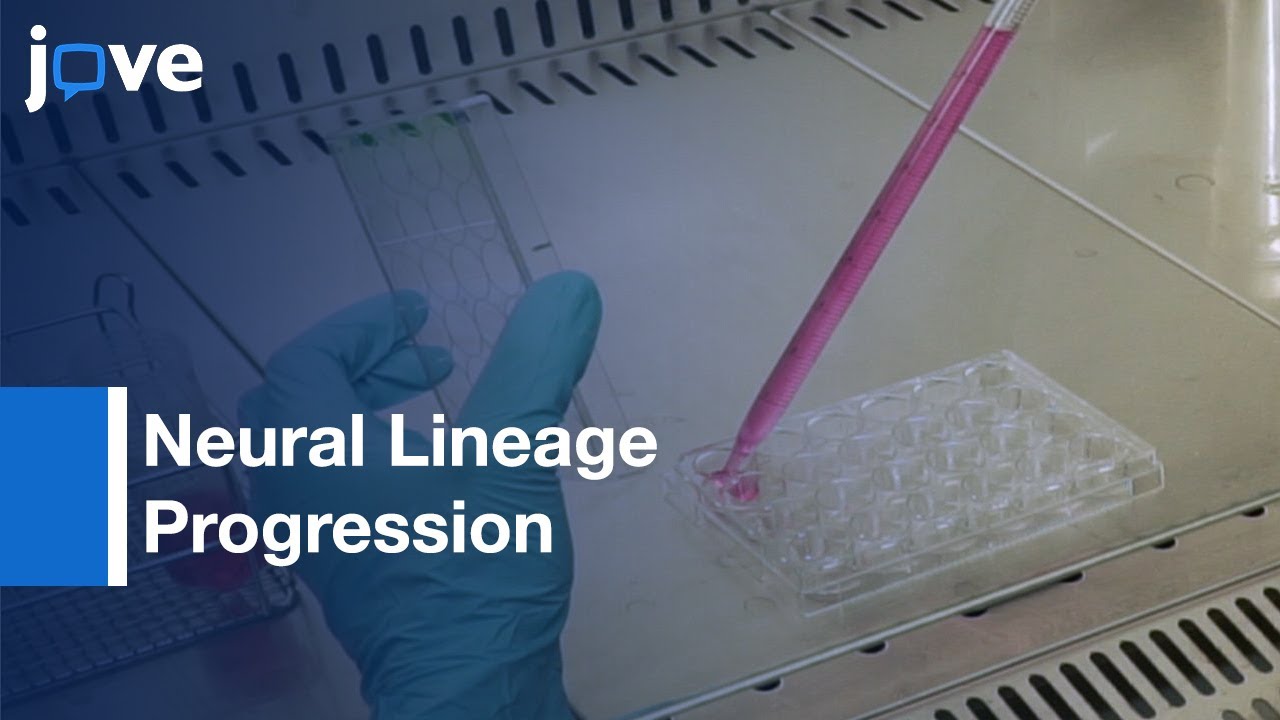 Single Cell Tracking for Cell Biology and Neural Lineage Progression ...