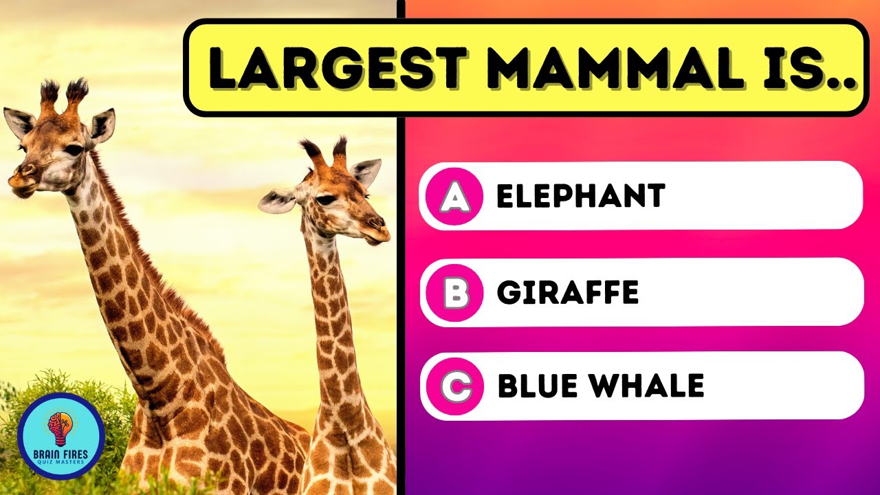 Test Your General Knowledge: Fun GK Quiz! 25 Multiple Choicce Questions ...