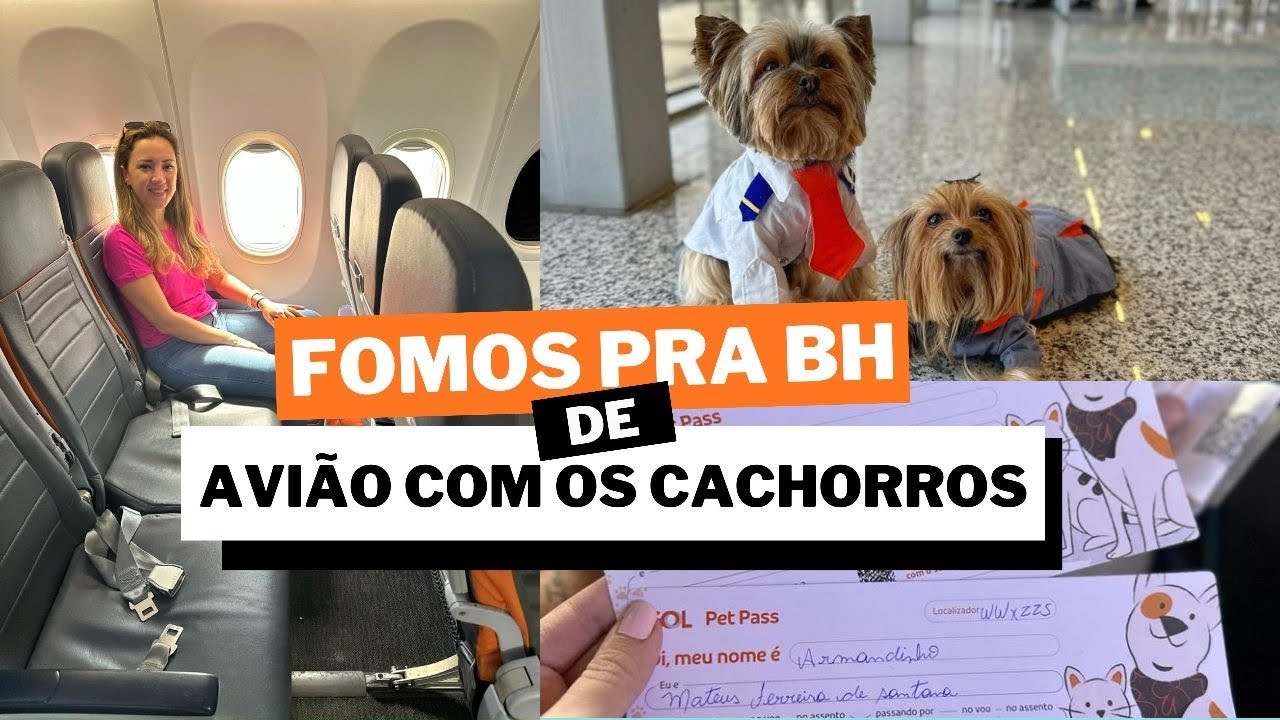 Como é viajar com cachorro pela GOL? - YouTube