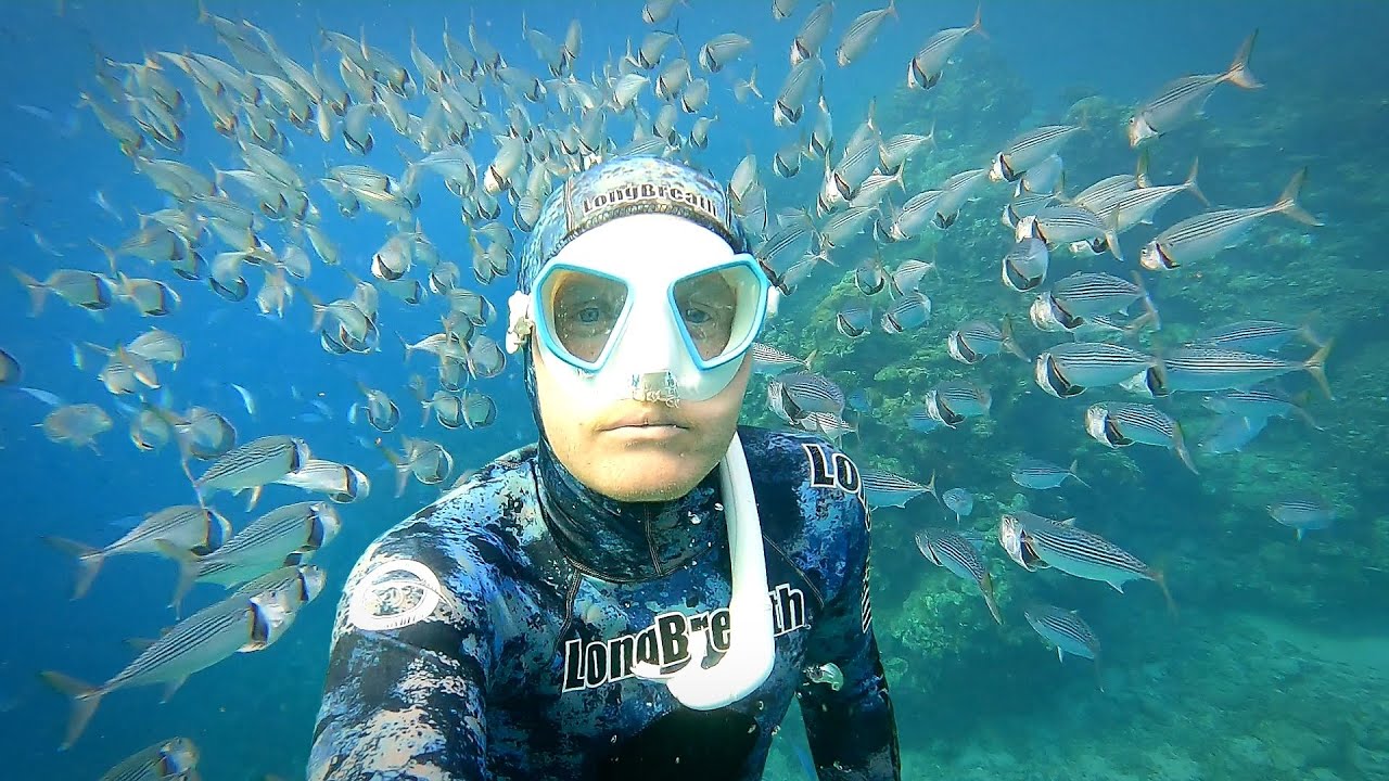 Swimming with the Fishes: Relaxing Freediving Montage - YouTube