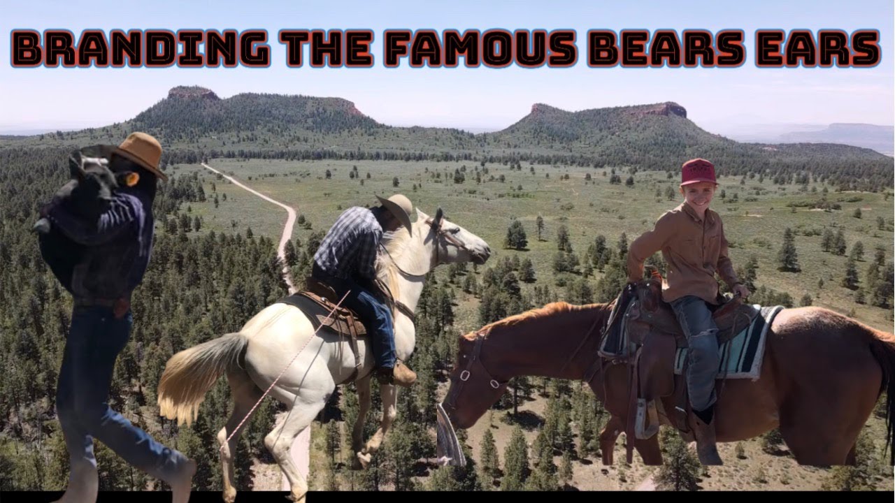 Last Branding Of The Year On The Famous Bears Ears - YouTube