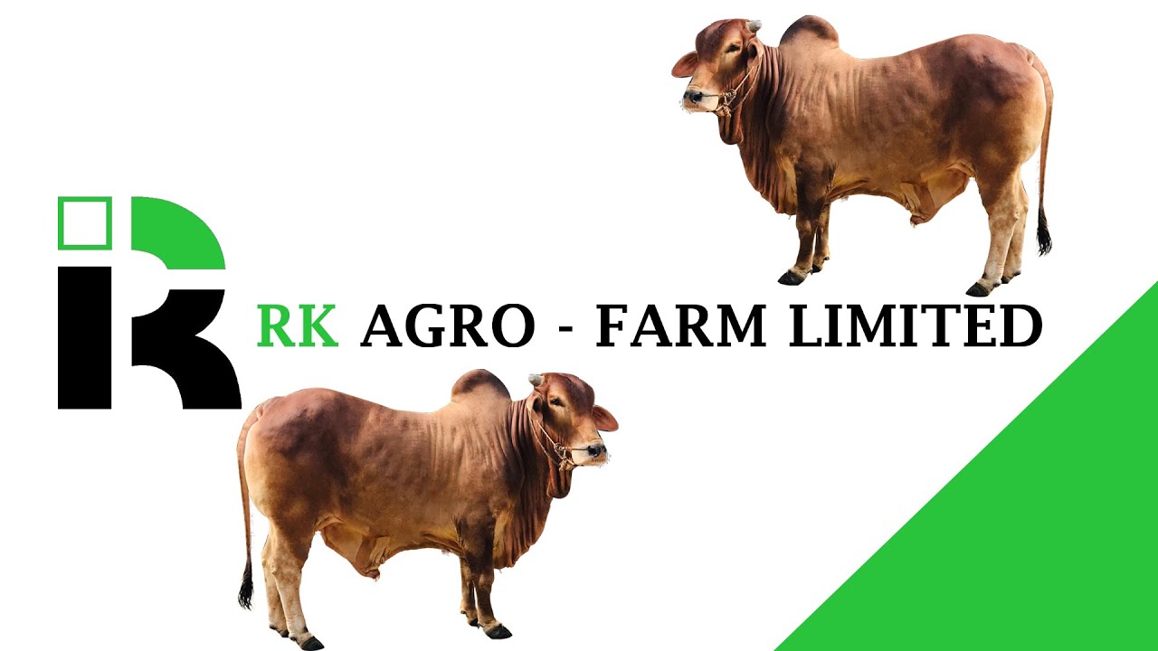 Drone Shot Video | RK AGRO - FARM LIMITED | Visual | - YouTube
