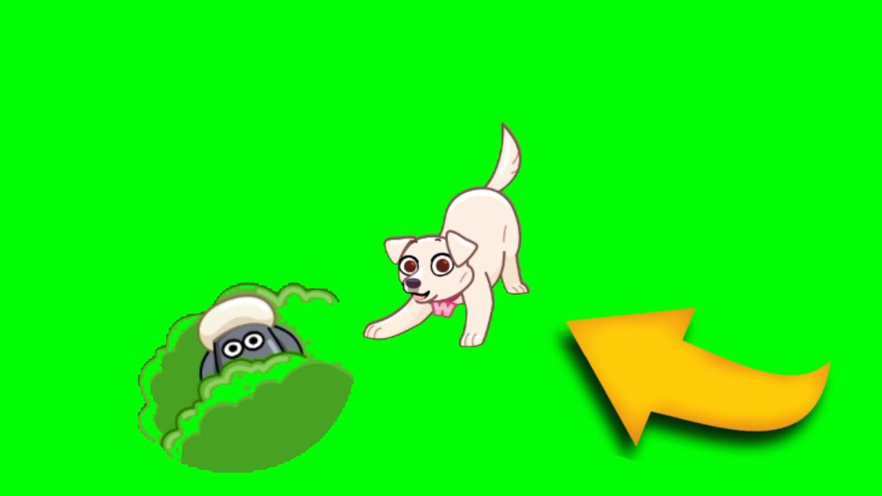 Green Screen STICKERS Animados Telegram - Chroma Key 🎬 - YouTube