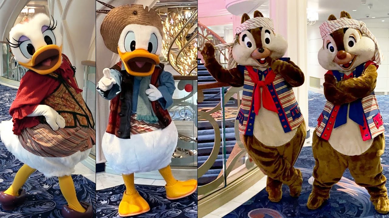 Donald, Daisy, Chip & Dale During Pirate Night on the Disney Wish ...
