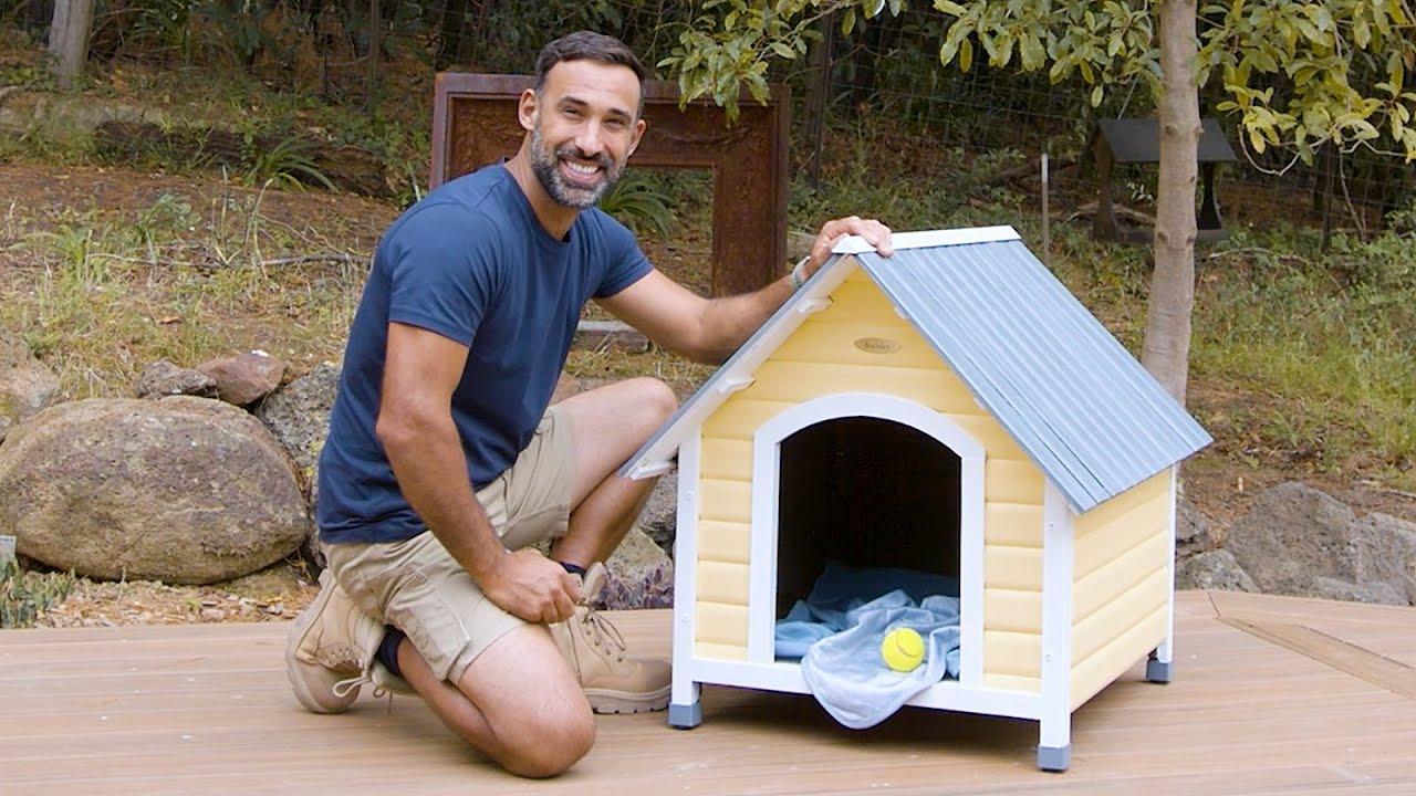 Selleys | Upcycling Projects - How To Transform a Shabby Kennel into a ...