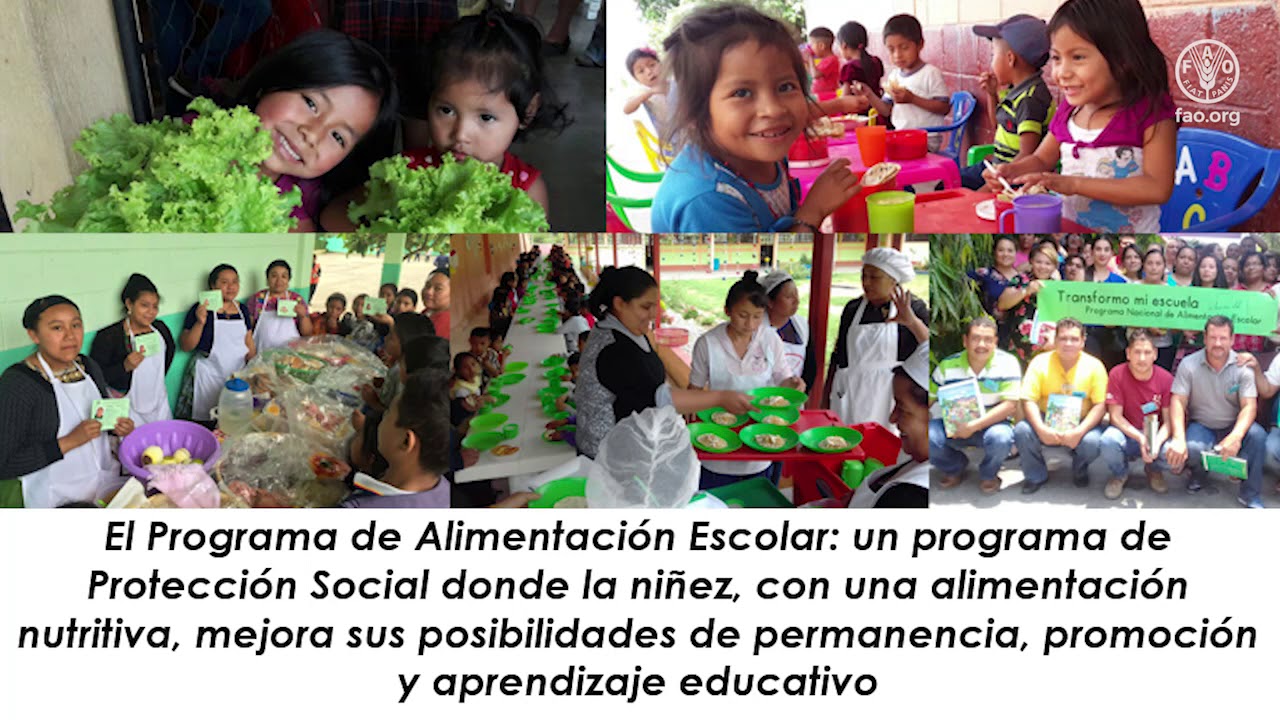 CLASE 3: Programas de Alimentación Escolar como estrategia de ...