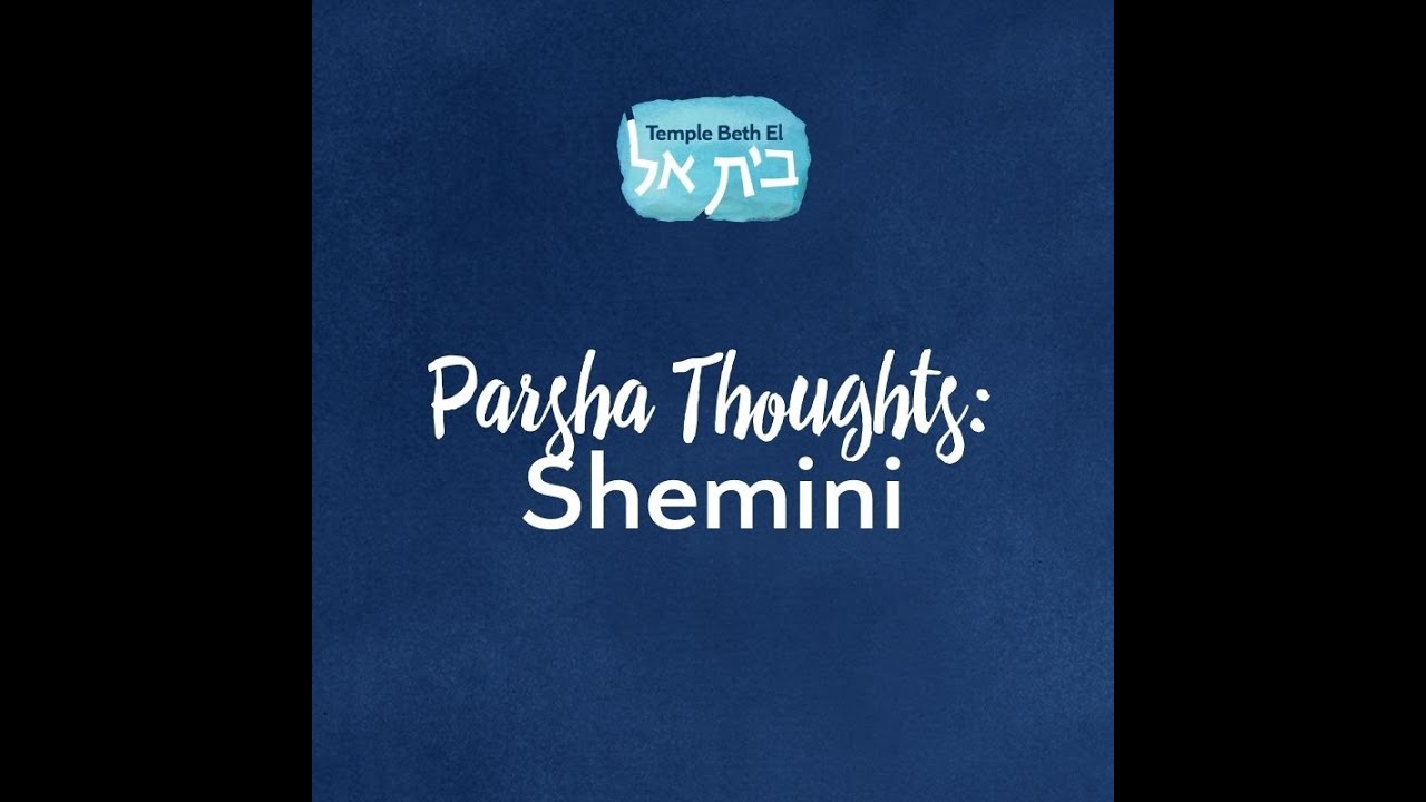 Parsha Thoughts: Shemini - YouTube