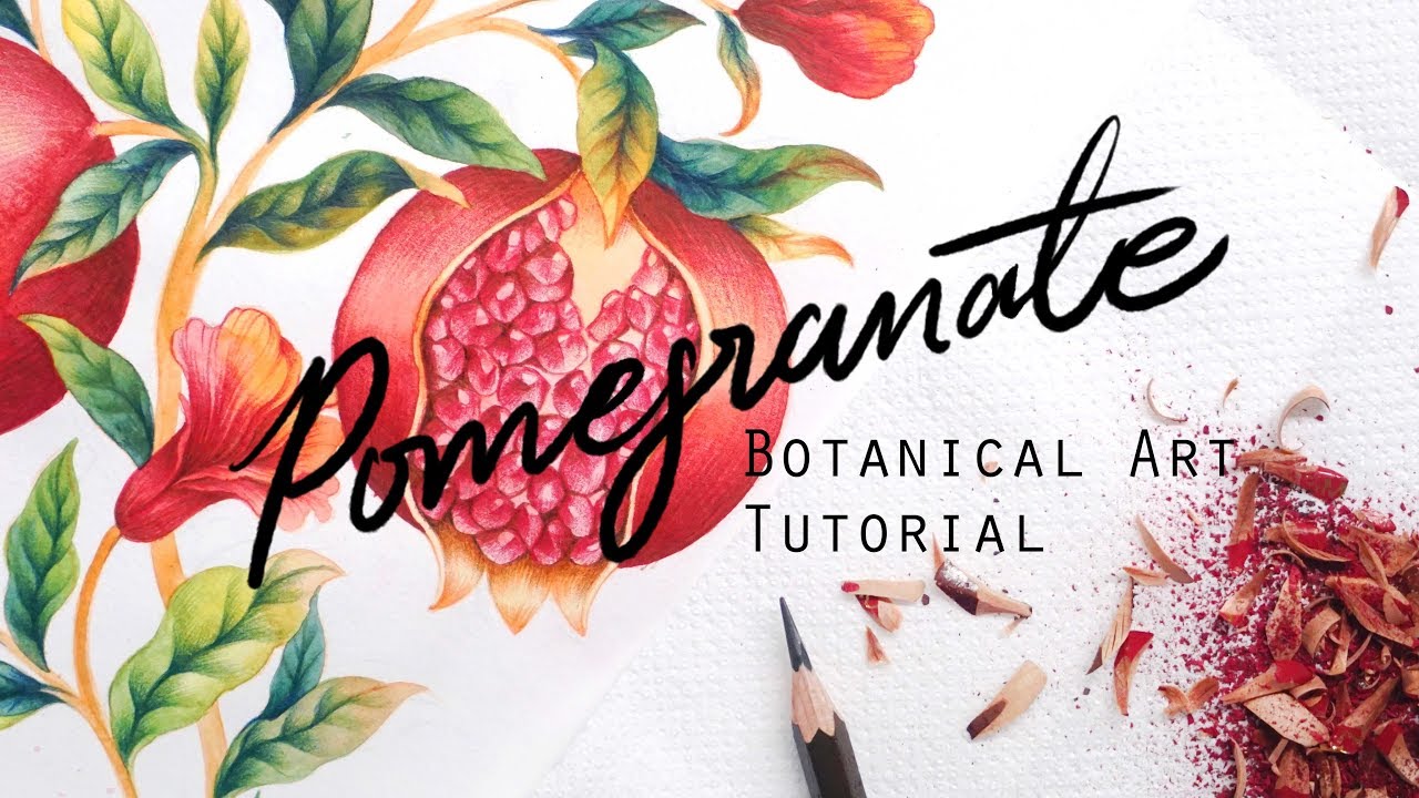 Botanical Art Tutorial : Watercolor-Colored Pencils by Freya.art : สอน ...