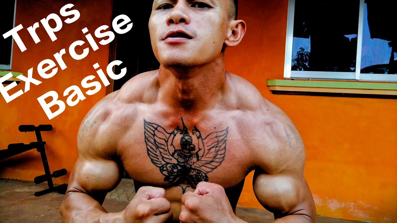 How I train My Trape /Traps Exercise For Beginner Calisthenics - YouTube