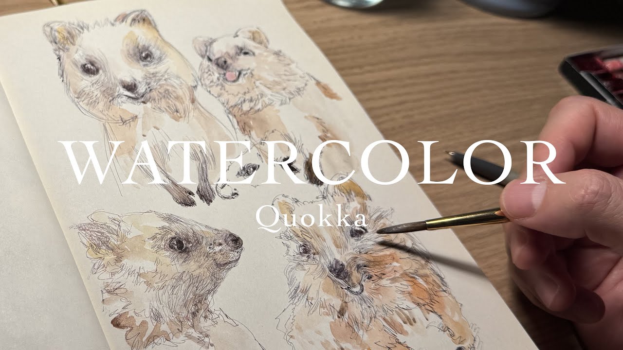 Quokka Watercolor & Pen Drawing | Step-by-Step Tutorial - YouTube