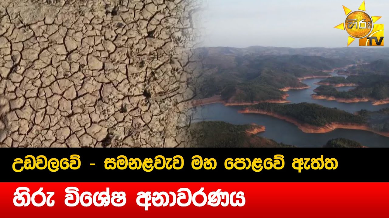 උඩවලවේ - සමනළවැව මහ පොළවේ ඇත්ත - හිරු විශේෂ අනාවරණය - Hiru News - YouTube