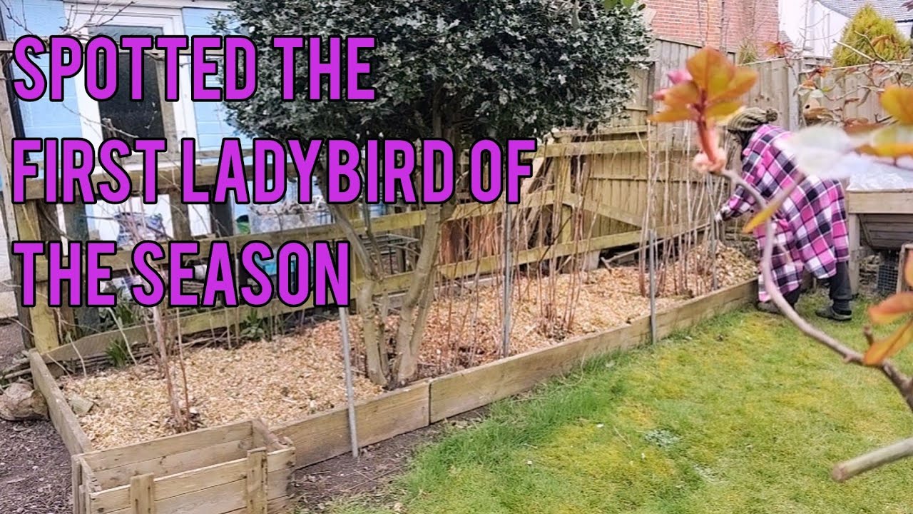 Preparing for spring in my cottage garden - YouTube