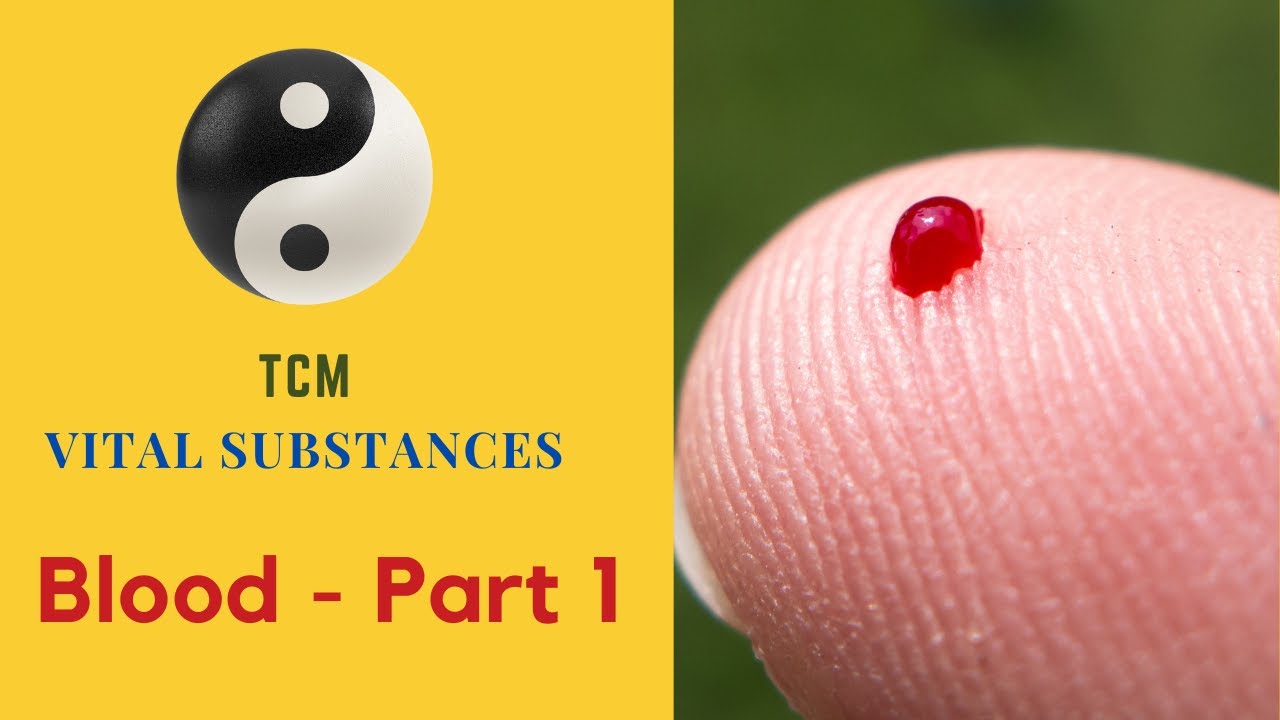 TCM Vital Substances : Blood - Part 1 - YouTube