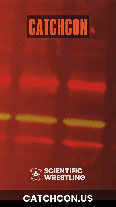 Master Catch Wrestling Techniques 🤼‍♂️ | Unleash Your Grappling Game! 🔥 #shorts - YouTube