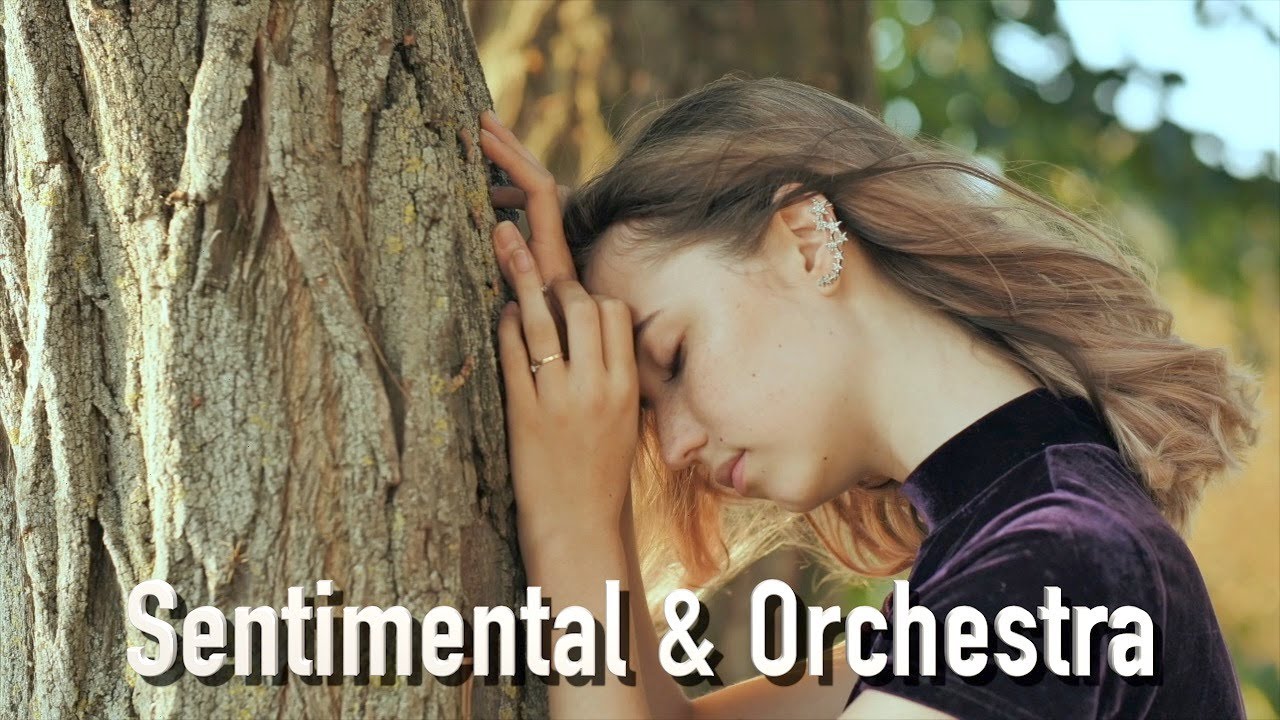 sentimental cinematic orchestra/sad drama music background/beautiful ...