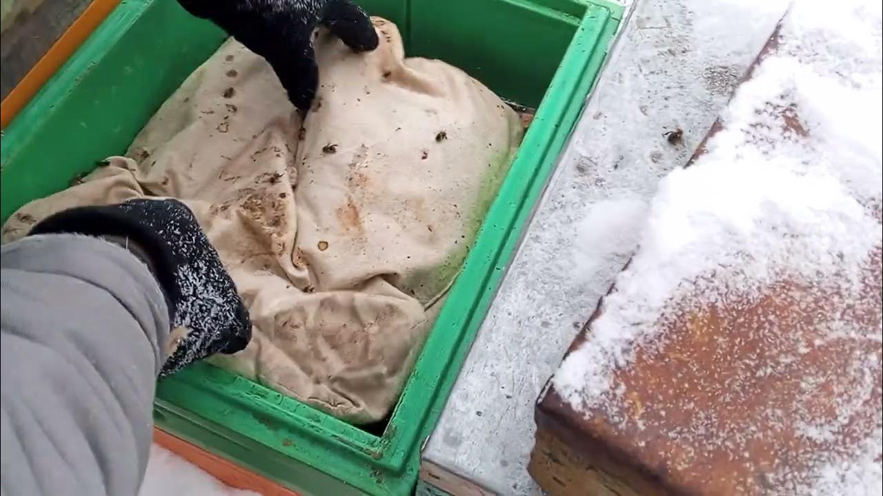 Зимовка пчёл на прицепе в ппу ульях медведь часть 2. - YouTube