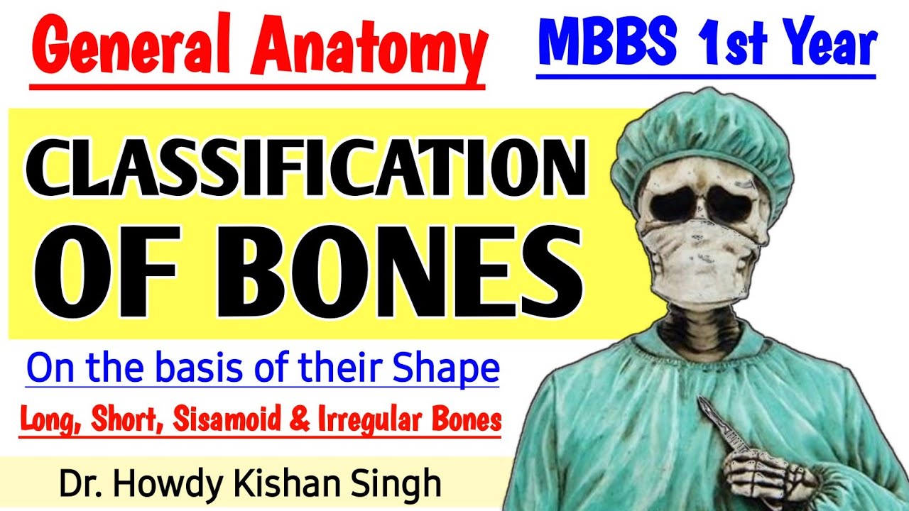 Classification of Bones Made Easy | Human Anatomy Lecture | MBBS 1st ...