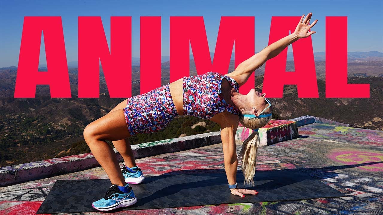 60 MINUTE ANIMAL FLOW WORKOUT | No Equipment | Bodyweight Strength ...