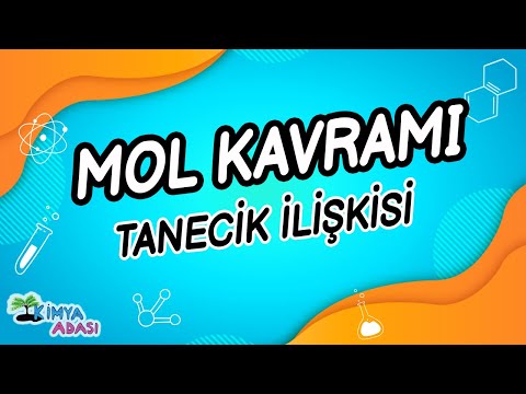 F1- Mol Kavramı - Tanecik İlişkisi