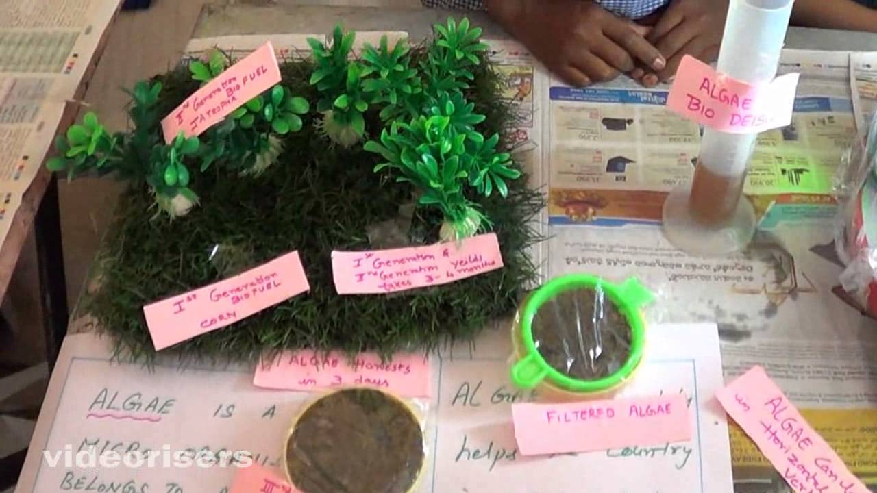 Algae Photo Bioreactor - Inspire Science Exhibition 2013 - YouTube