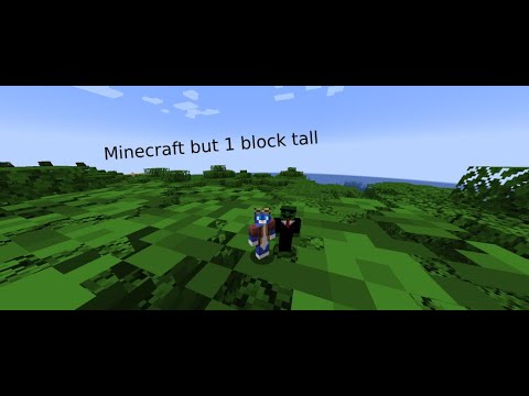 Minecraft but one block tall - YouTube