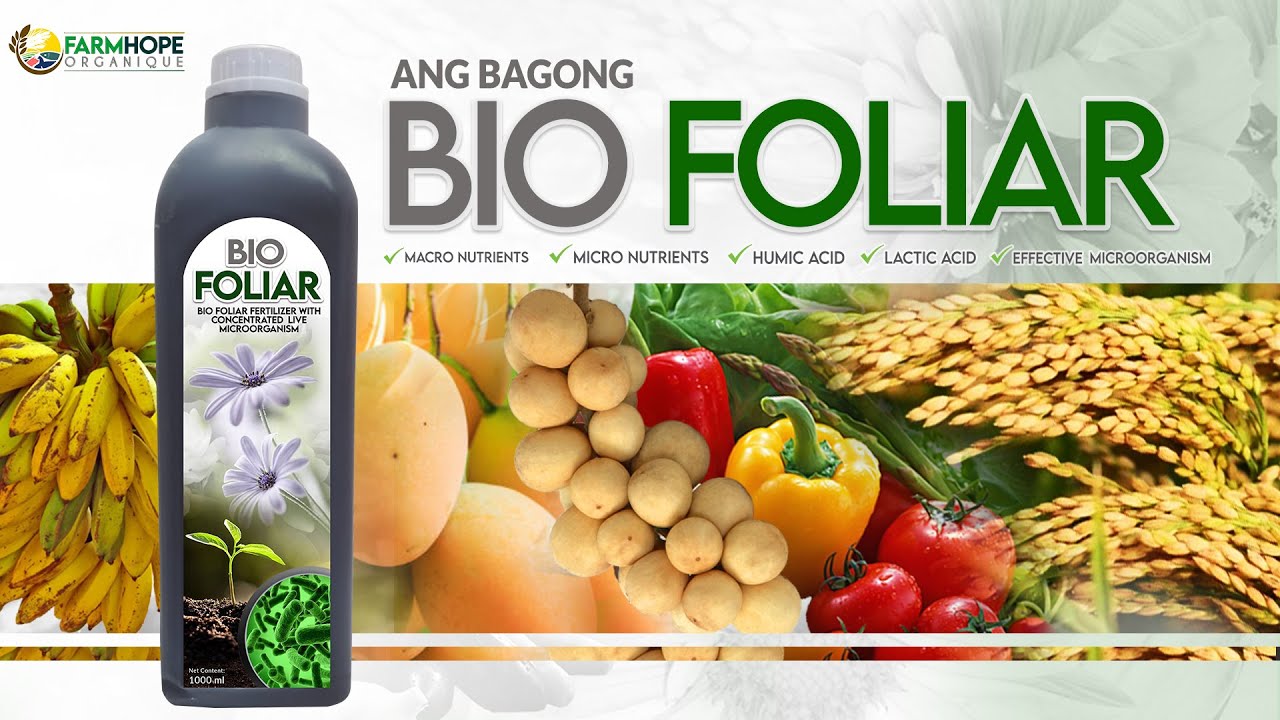 ANG BAGONG BIO FOLIAR - YouTube