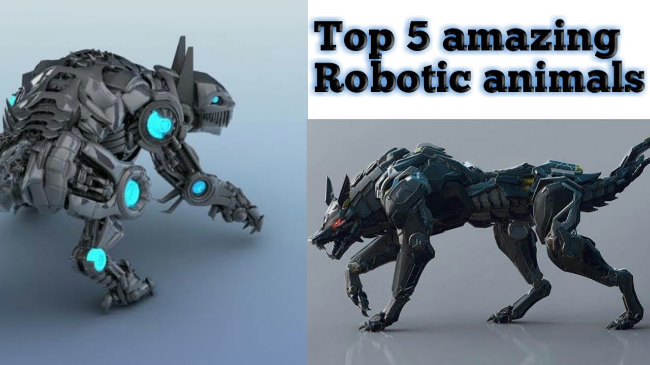 Top 5 amazing bionic animals in hindi || शीर्ष 5 अद्भुत बायोनिक जानवर ...