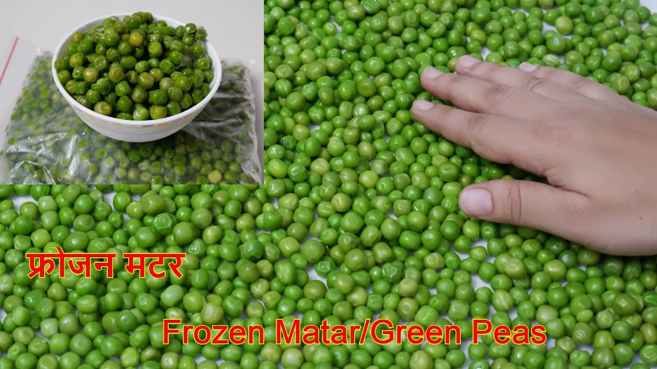 Frozen Matar | How to store Green Peas| Preserve Green Peas | store ...
