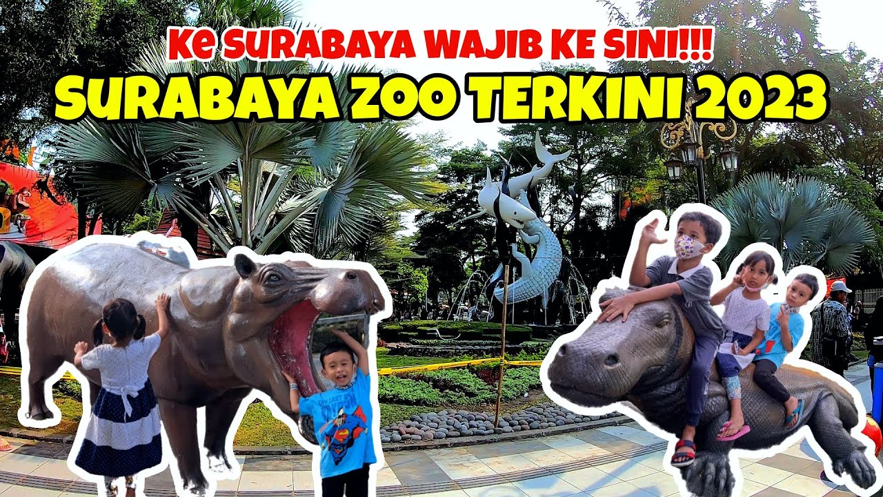 WISATA PALING HITS!! Surabaya - KEBUN BINATANG SURABAYA ZOO 2023 - YouTube