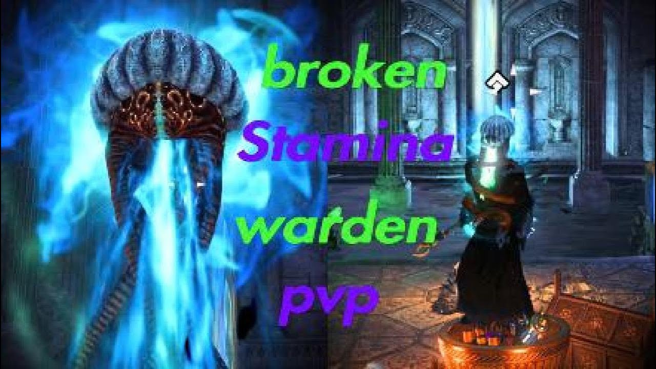 Op Stamina warden pvp build eso (scribes of fate) - YouTube