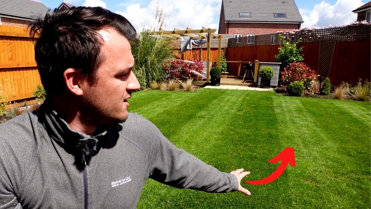 First Grass Cut After Seeding My Lawn - Did it Work? - YouTube
