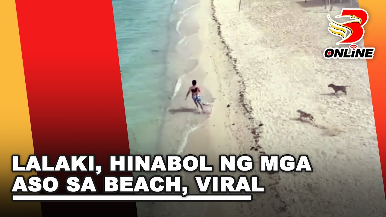 Lalaki, hinabol ng mga aso sa Beach, viral - YouTube