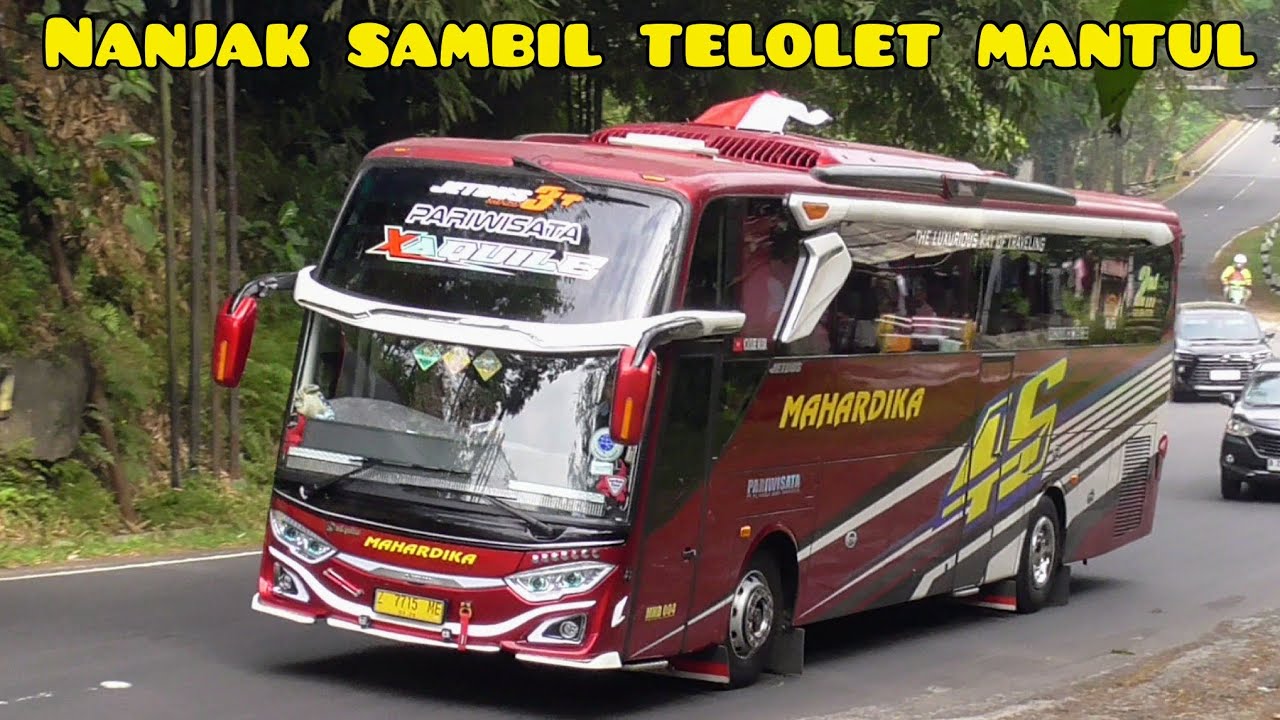 BUS MAHARDIKA NANJAK SAMBIL TELOLET DI TANJAKAN BATUNUNGGUL - YouTube