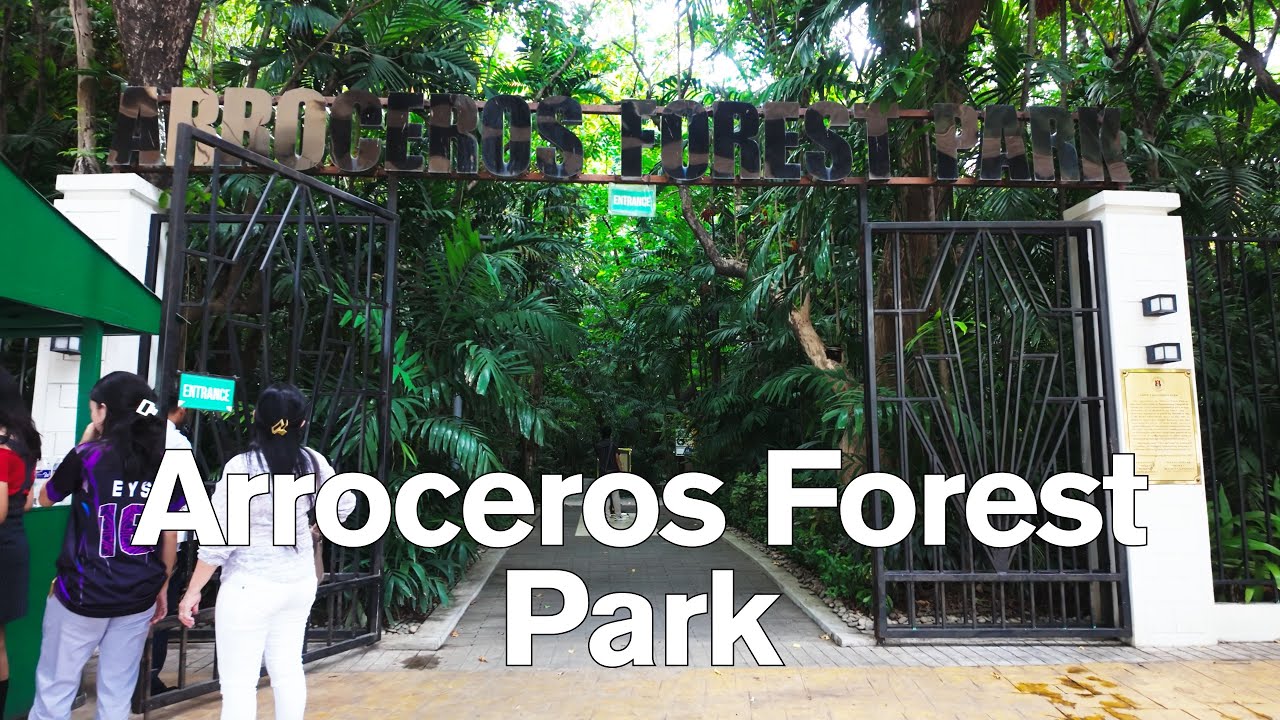 Morning Walk at Arroceros Forest Park | Manila’s Hidden Urban Jungle ...