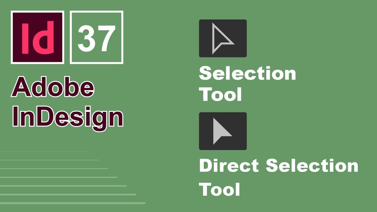 Adobe InDesign for Beginners | Selection & Direct Selection Tool ...