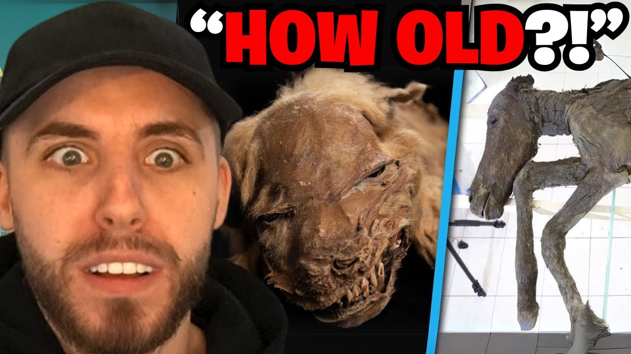 5 Strange Prehistoric Creatures Found Frozen In Ice - YouTube