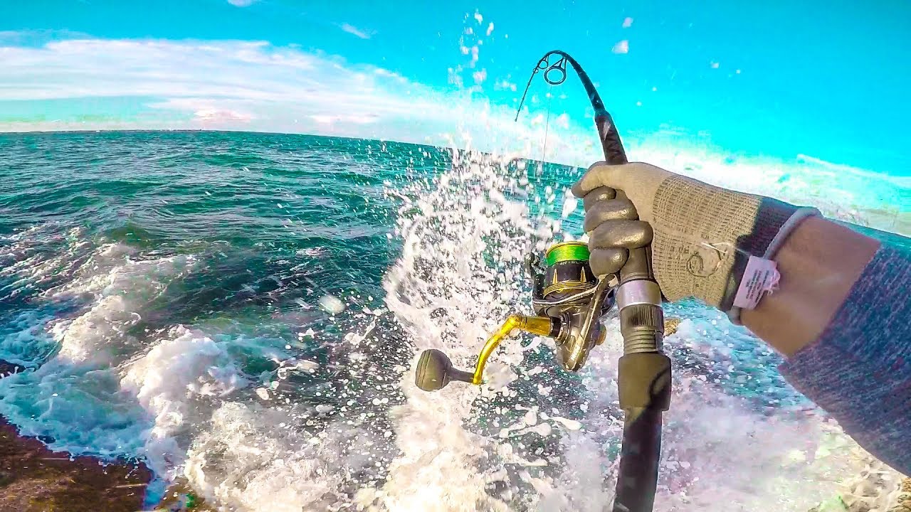 fish SNAPS fishing rod - new record fish caught from land - YouTube